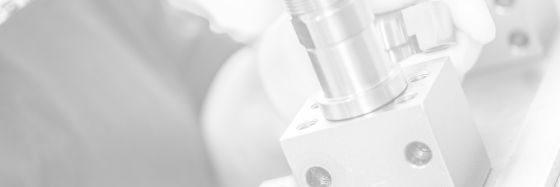 STAUFF Flanges | STAUFF