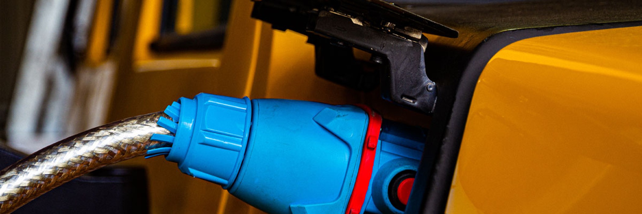 Electrifying the "Wild Bull"